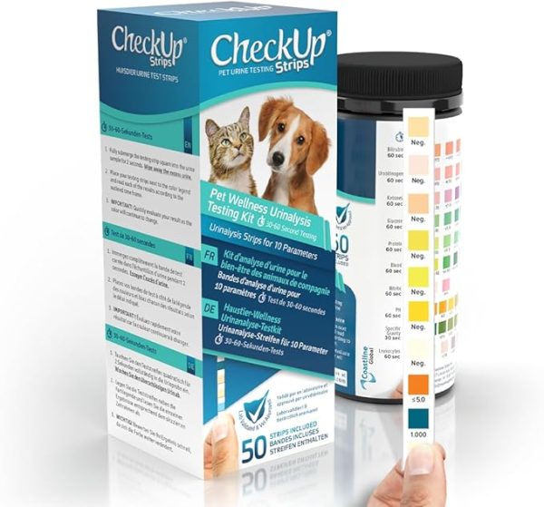 A Comprehensive Guide to Blood in Dog Urine – Dog Carely