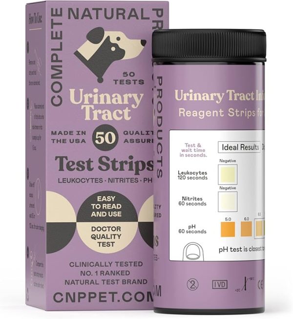 A Comprehensive Guide to Blood in Dog Urine – Dog Carely