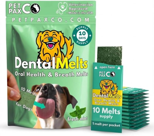 Paraphimosis in Dogs – Dog Carely